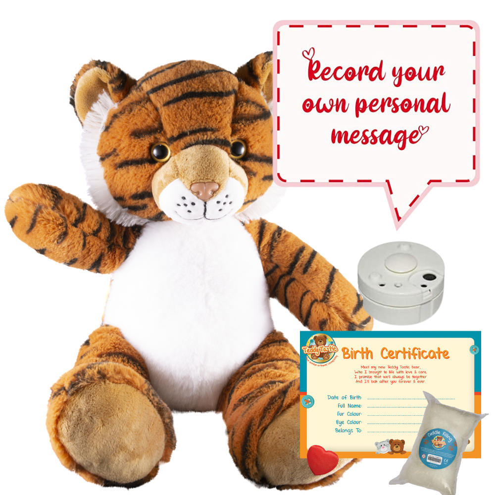 Terry The Tiger - Recordable – Teddy Tastic